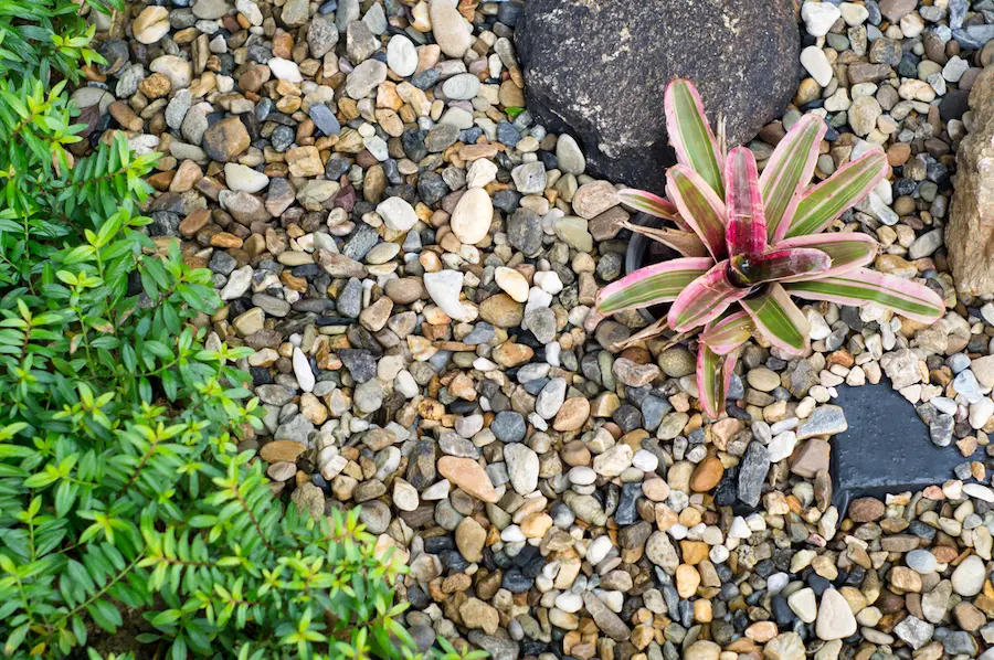 Why Choose Washed Pea Gravel For Landscaping? - Rolism